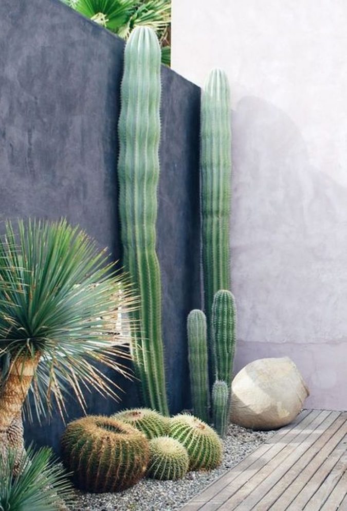 Cactussen in de tuin | Inrichting-huis.com